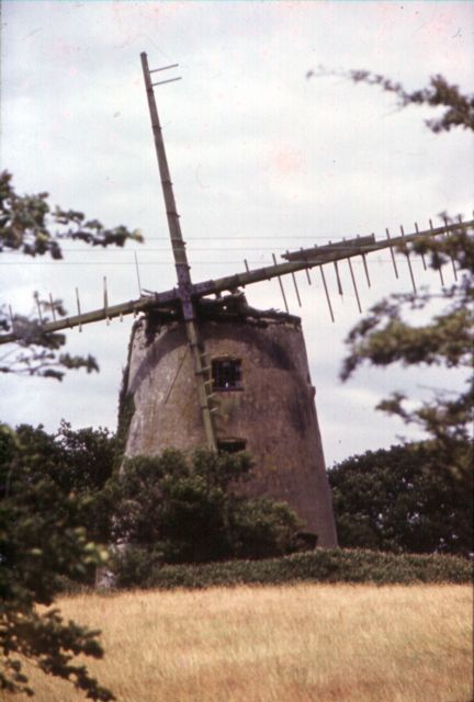 Windmill – Mr Holt's